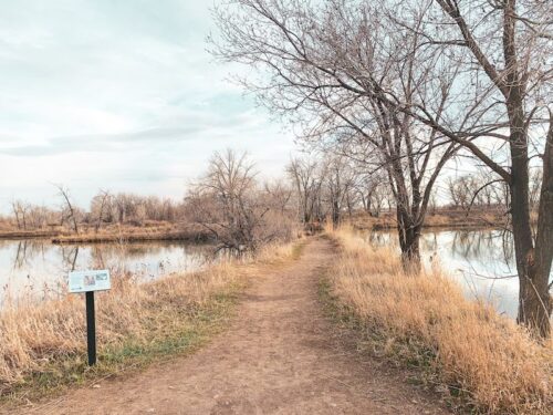 15 Beautiful Hikes Around Fort Collins (Less than 1 Hour Away!)