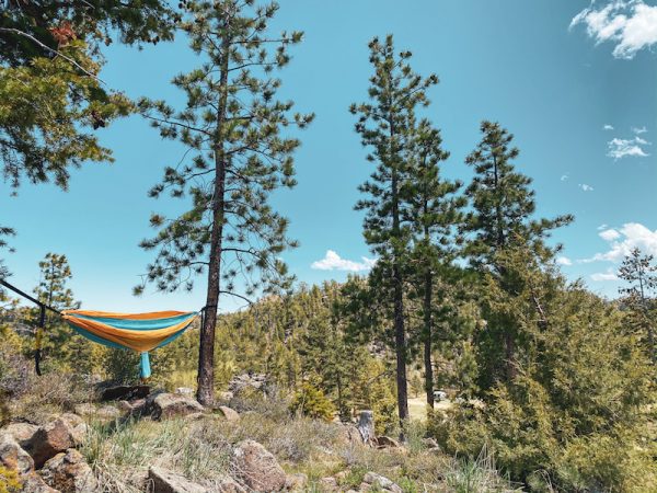 Escape To Red Feather Lakes: Your Northern California Campground Adventure